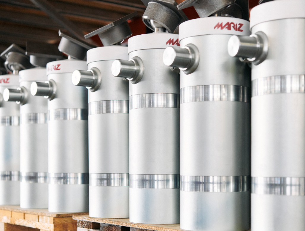 Mariz | Binotto Group